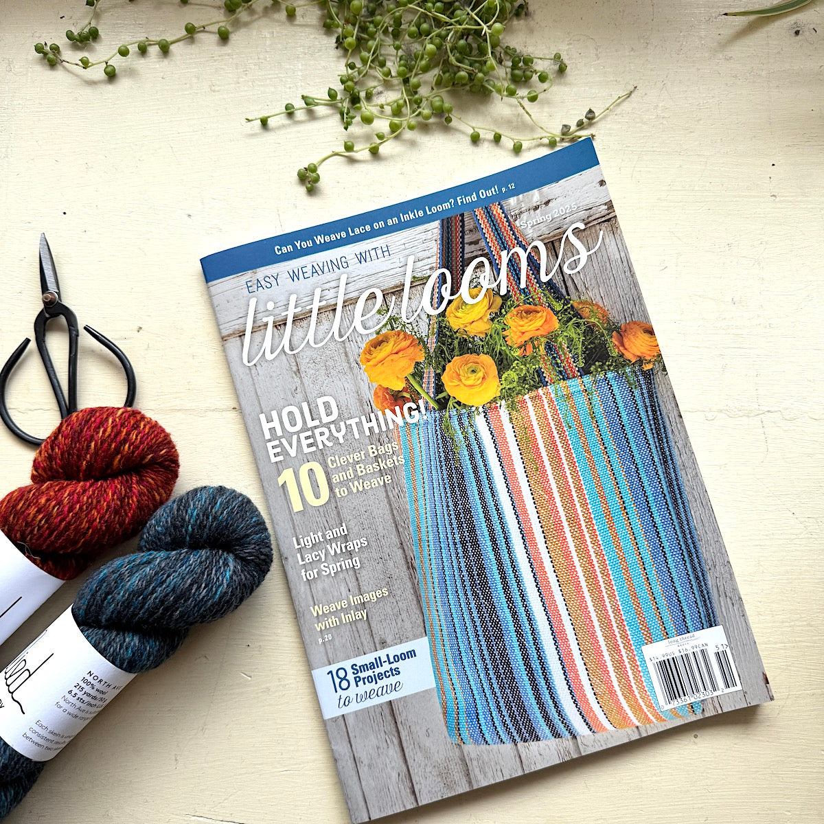 Little Looms Spring 2025 – Woven Art Yarn Shop